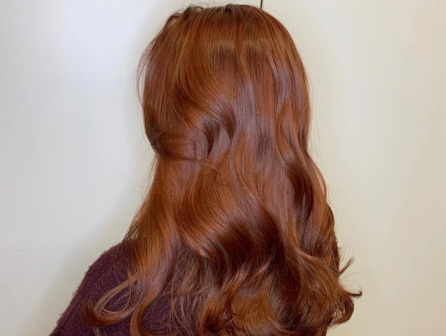 Strawberry Brown Hair Color