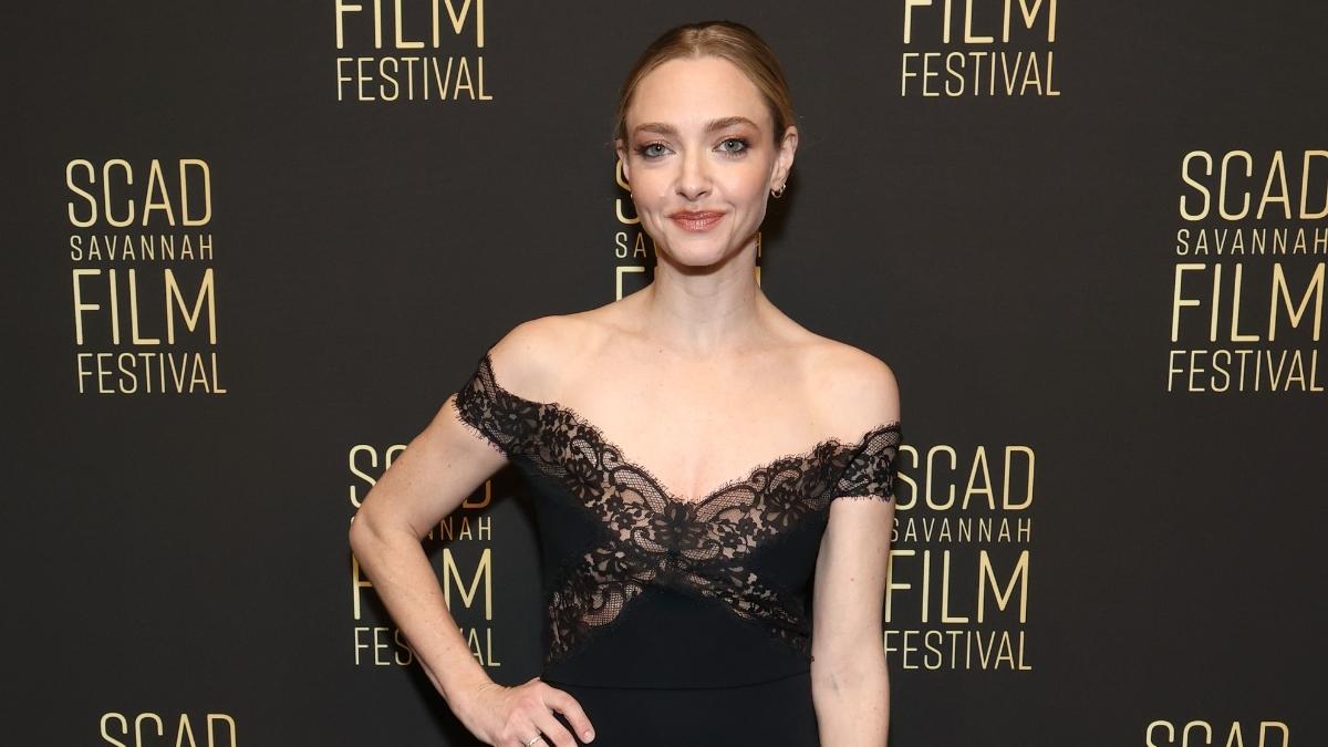 Amanda Seyfried's Elie Saab Dress Is All About the Lace - theFashionSpot