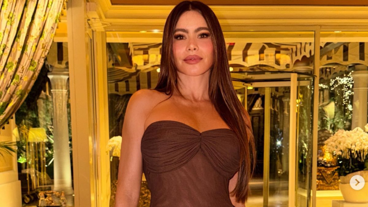 Sofia Vergara's $70 Plunging Gaui Cropped Tank Top Hangs From Just 2 ...